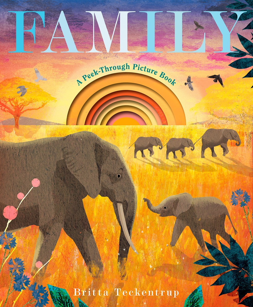 Family: A Peek-Through Picture Book – The Bookshelf