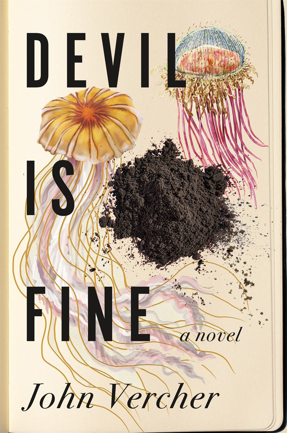 Devil is Fine – The Bookshelf